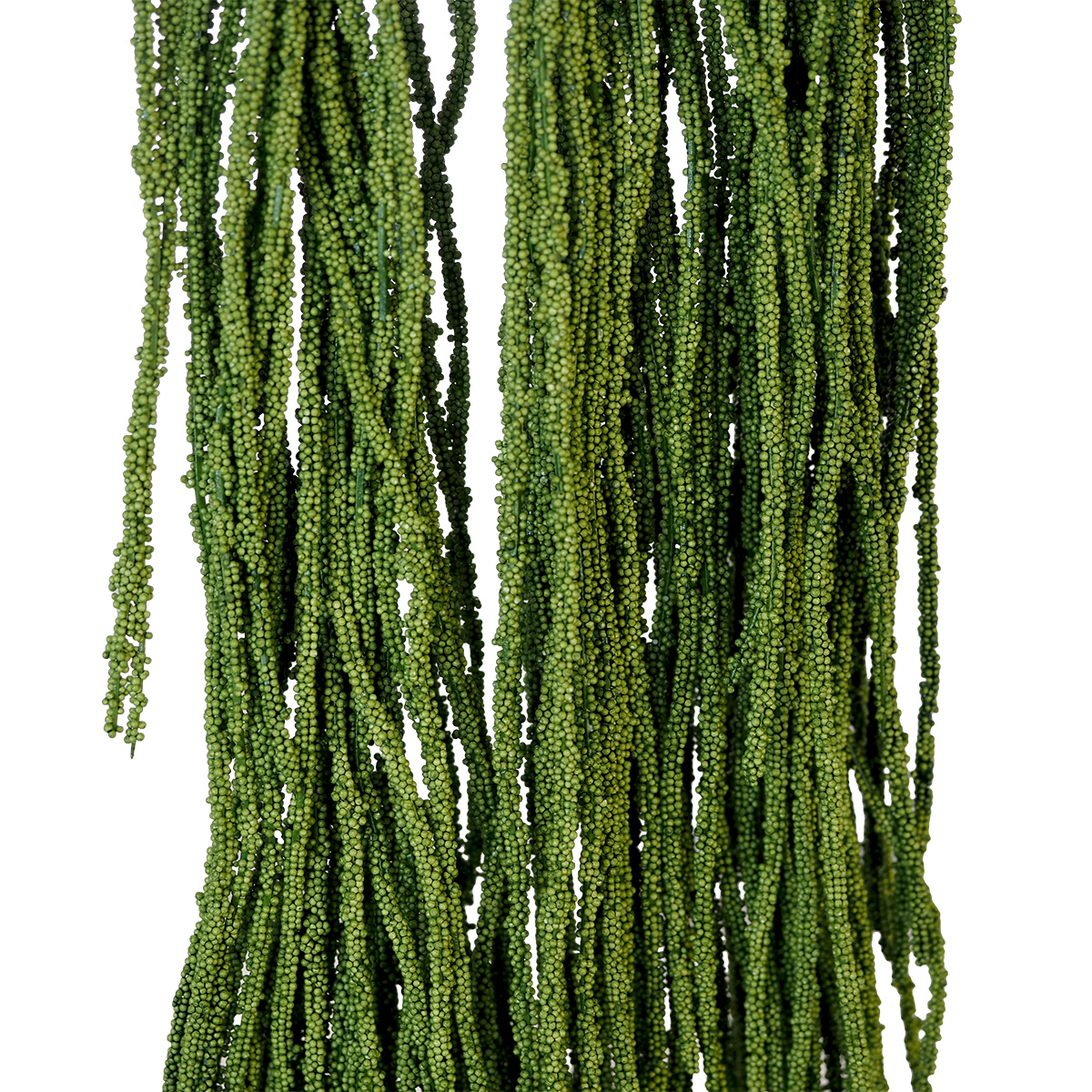 New Arrivals – Fresh Floral Supplies & Decor at Floral Craft